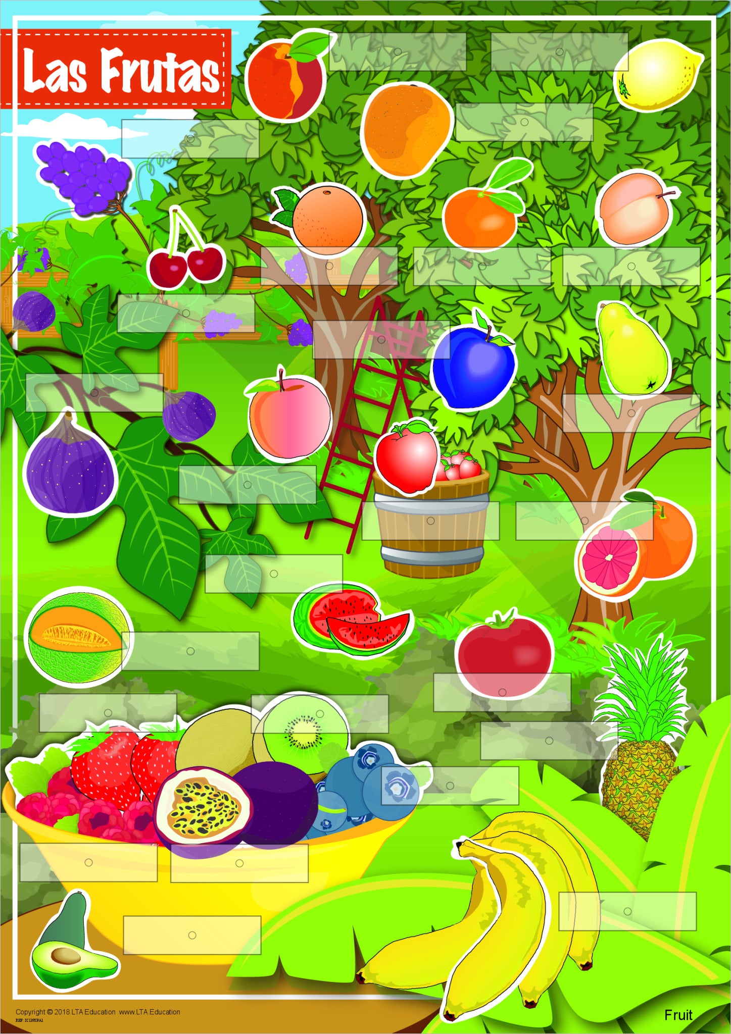 Fruit Interactive Chart | Language Learning Display – LTA Education